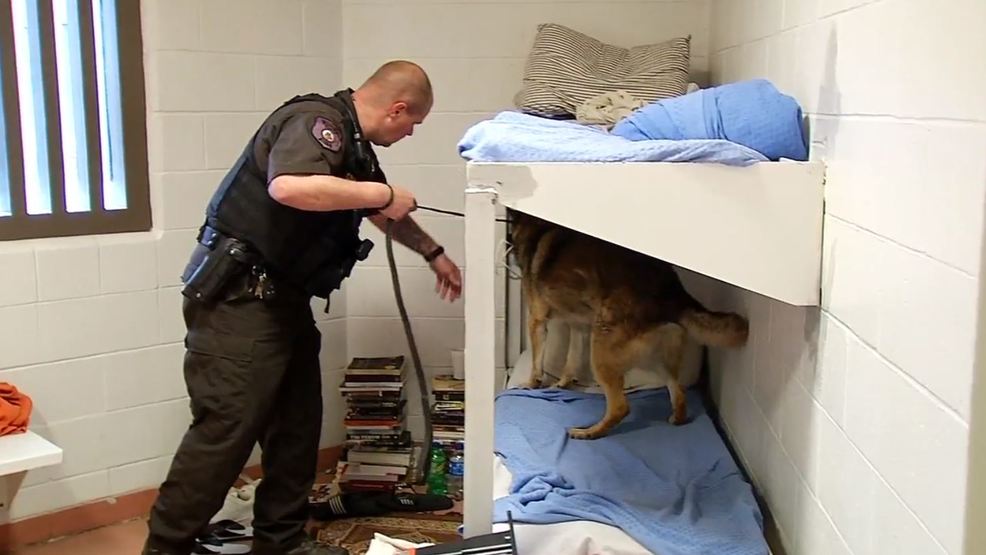 Officers search for contraband at Cumberland County Jail | WGME