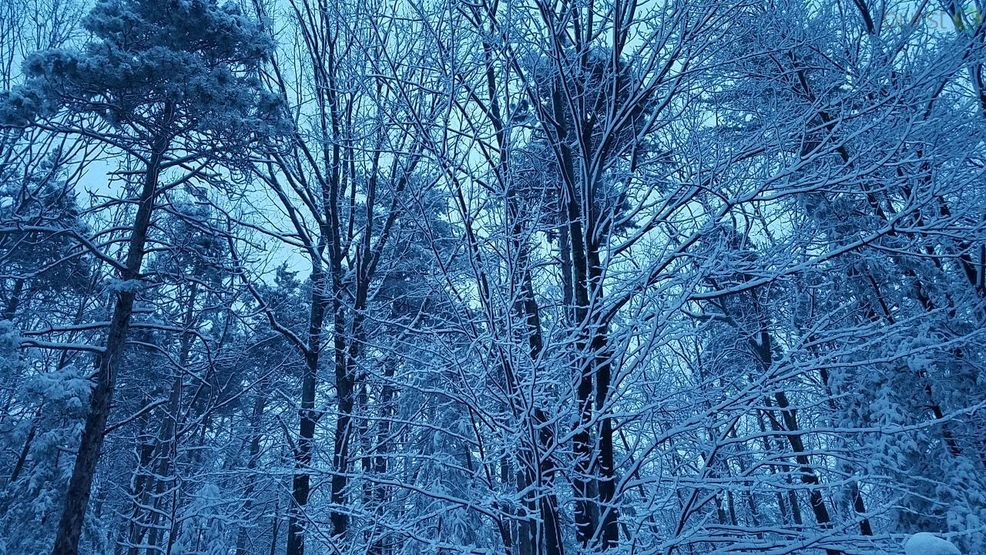 A second round of snow/sleet/freezing rain on the way late tonight into ...