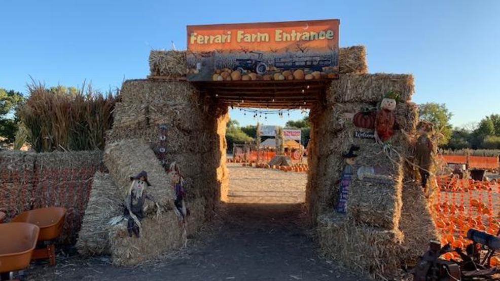 Ferrari Farm fall festival fun for the whole family | KRXI