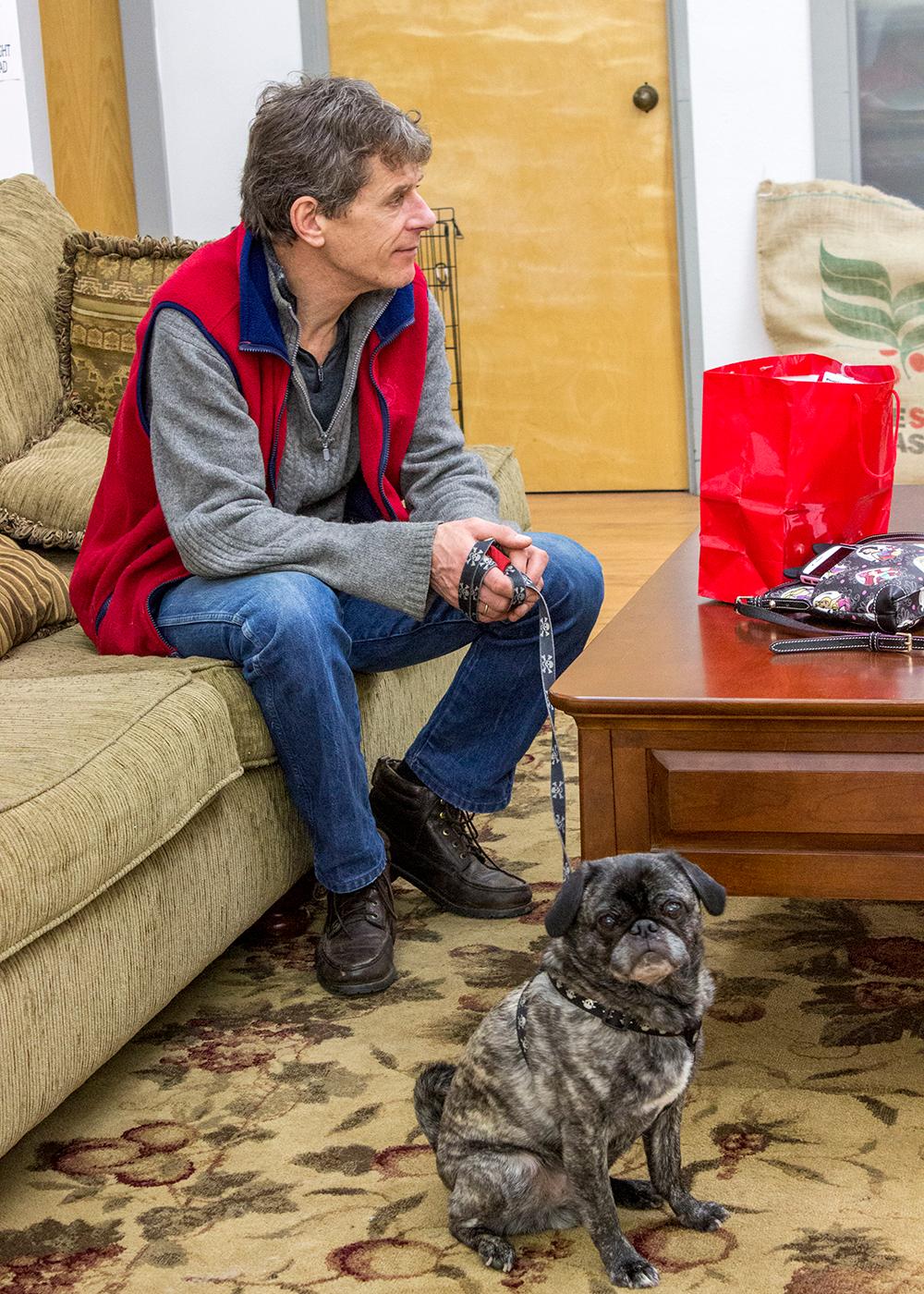 Photos: Curly tails and squished noses fill Pop-up Pug Café and Art ...